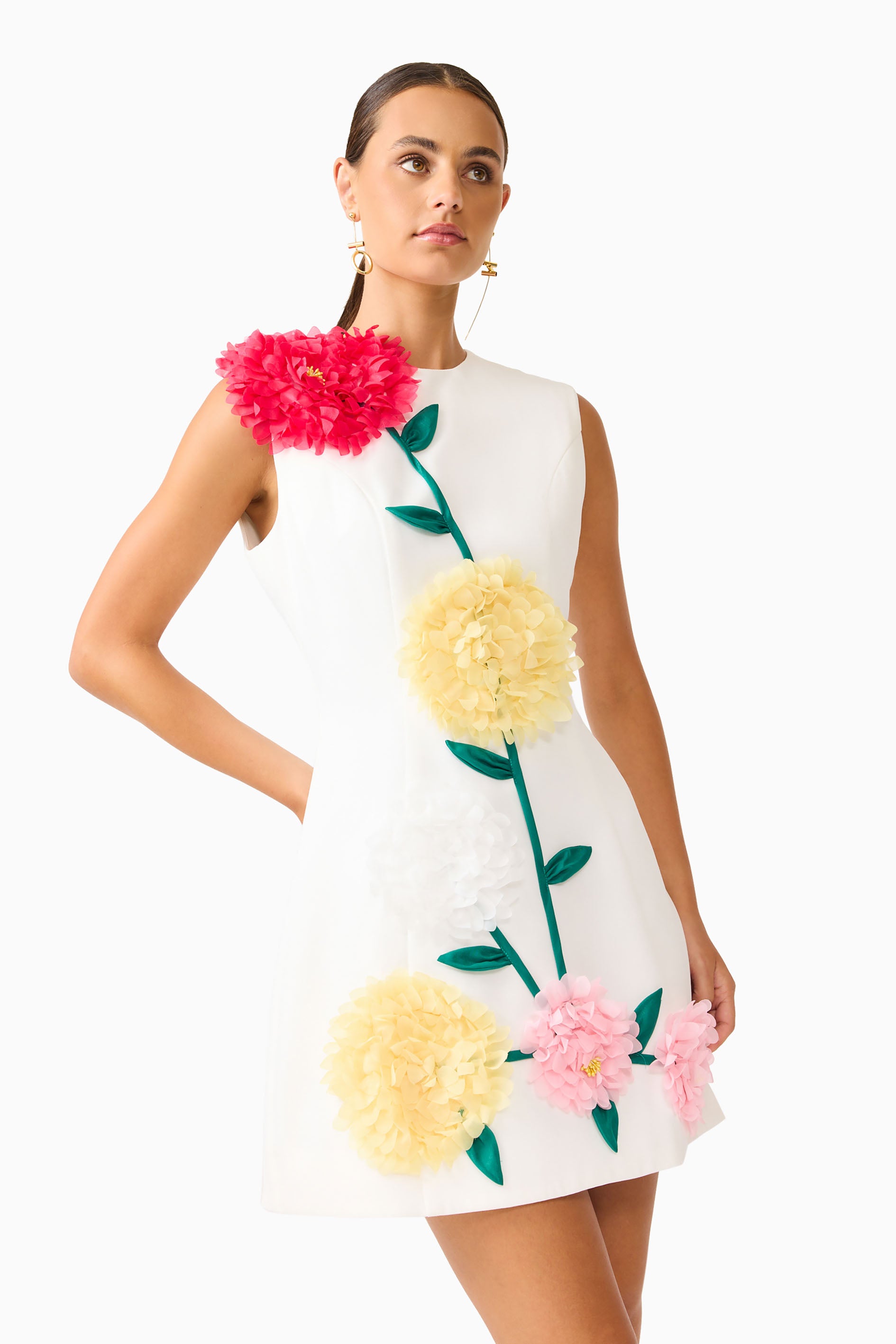 Buttercup Embroidered Mini Dress in Ivory – Elliatt