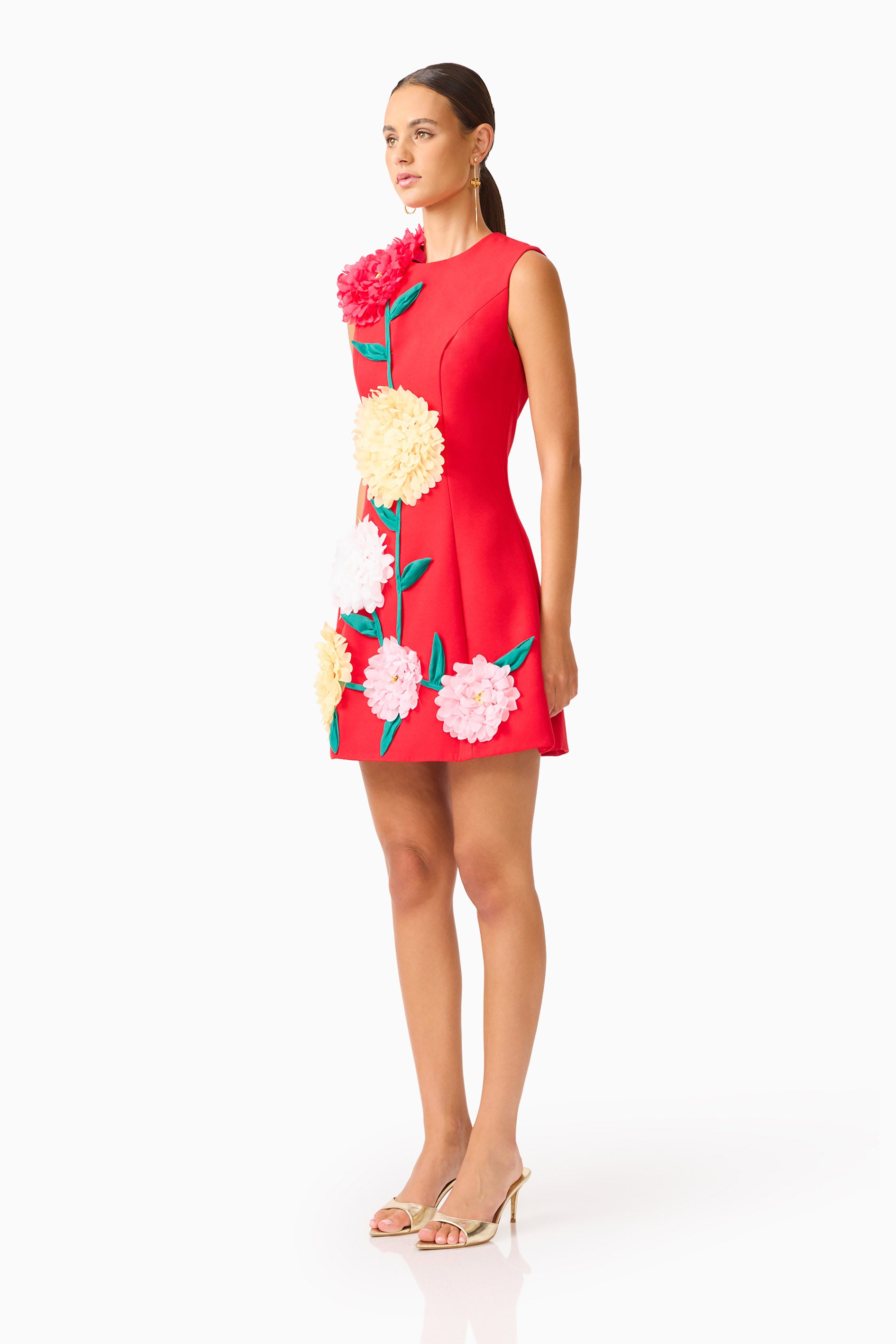 Buttercup Embroidered Mini Dress in Red – Elliatt