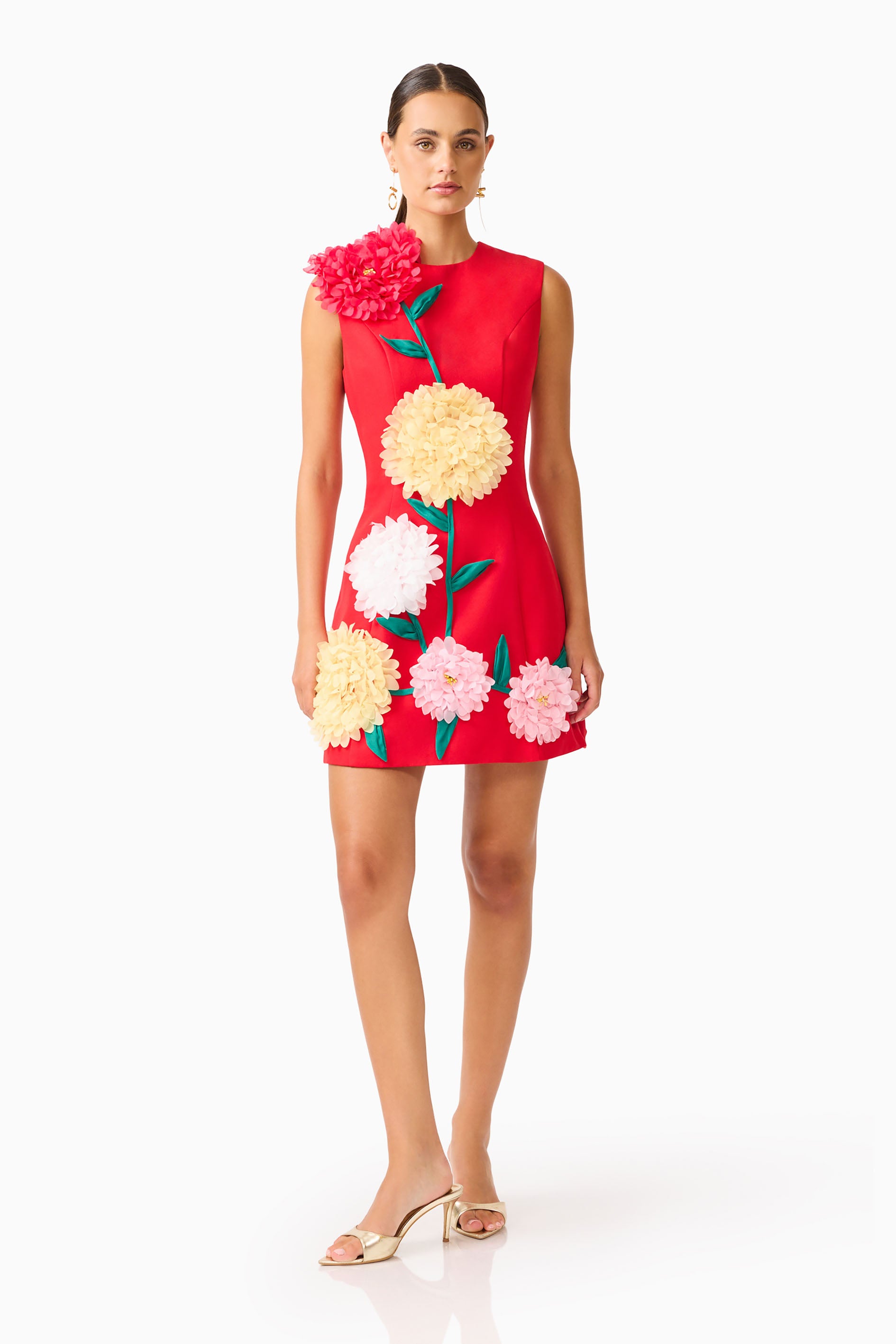 Buttercup Embroidered Mini Dress in Red – Elliatt