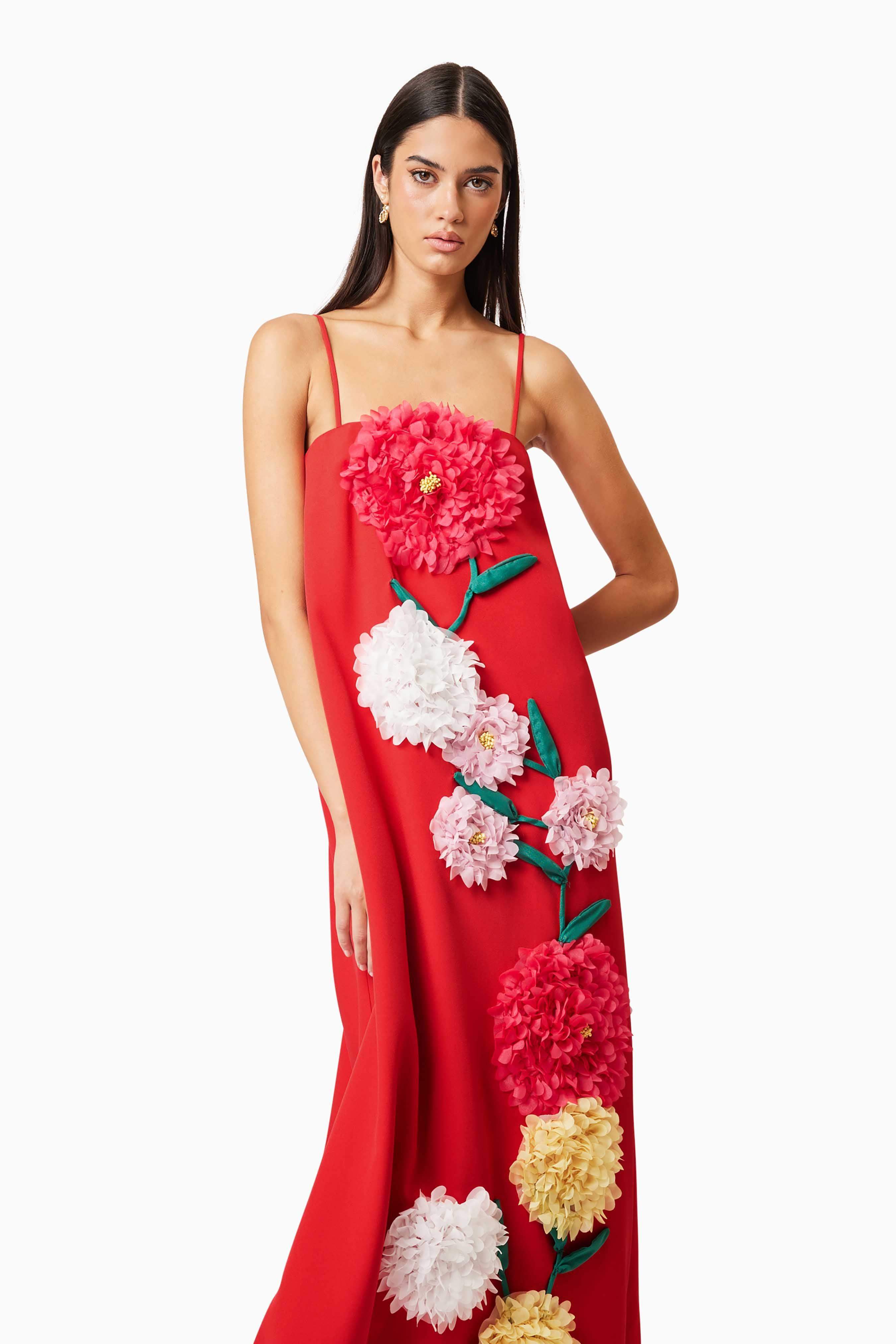 Buttercup Maxi Dress In Red | Embroidered Floral Design – Elliatt