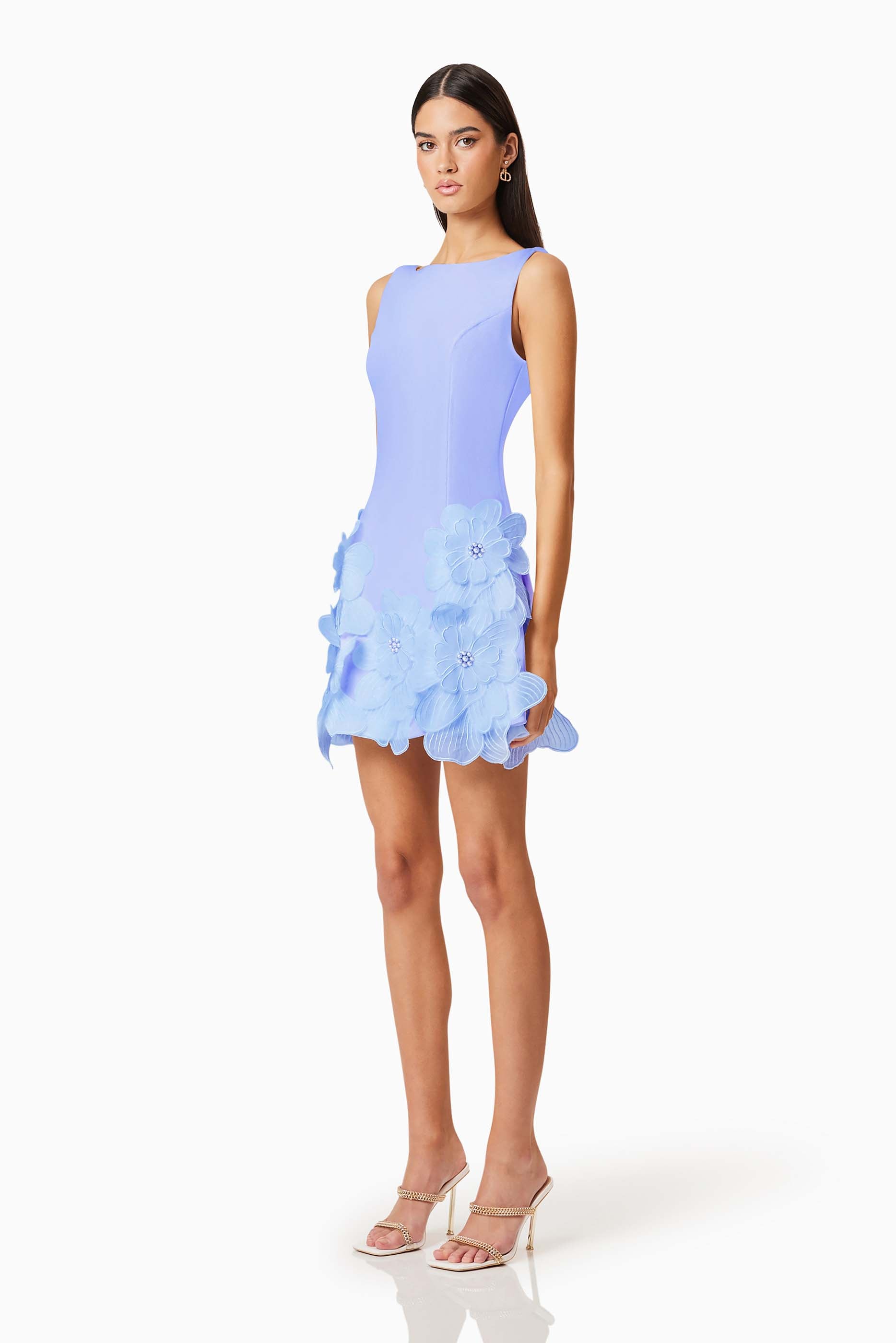 Janelle Mini Dress in Blue | Floral Detailing – Elliatt