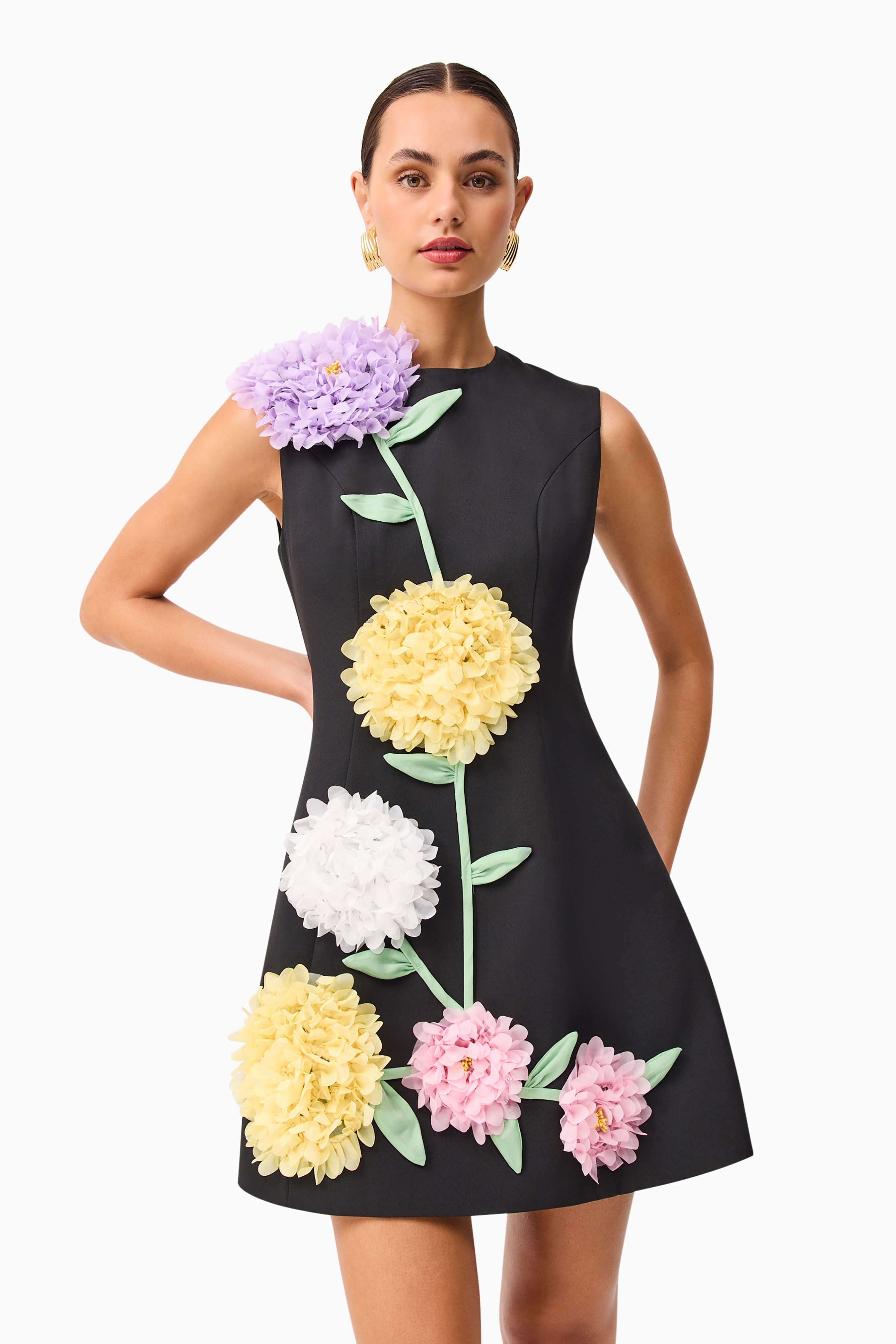 Buttercup Embroidered Mini Dress in Black – Elliatt